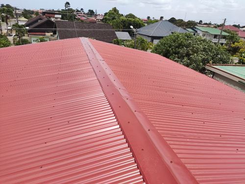 Metal Sheet Roofing Solutions - Delta Dakwerken | Delta Roofing Services